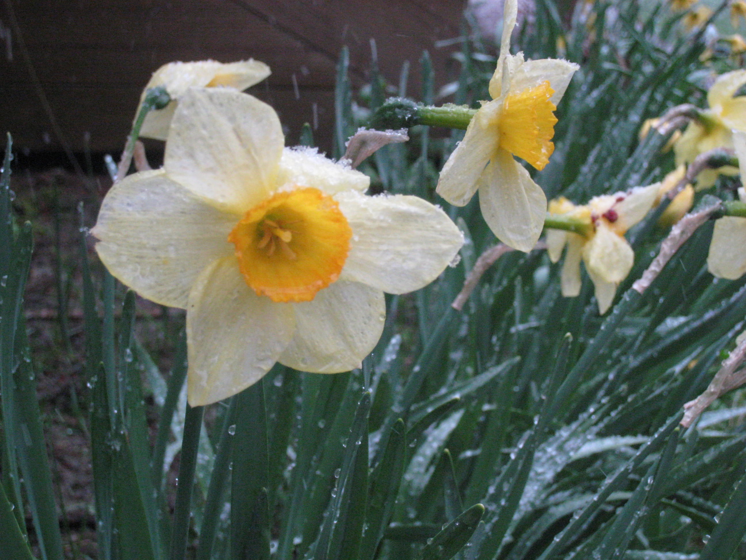 Town of Landaff, New Hampshire - About Landaff