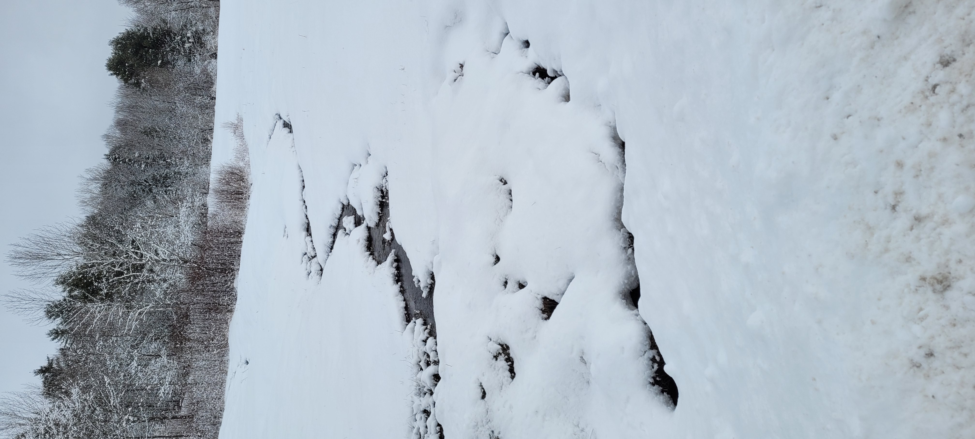 Town of Landaff, New Hampshire - About Landaff